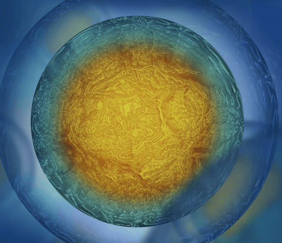 Menin Inhibition - Syndax